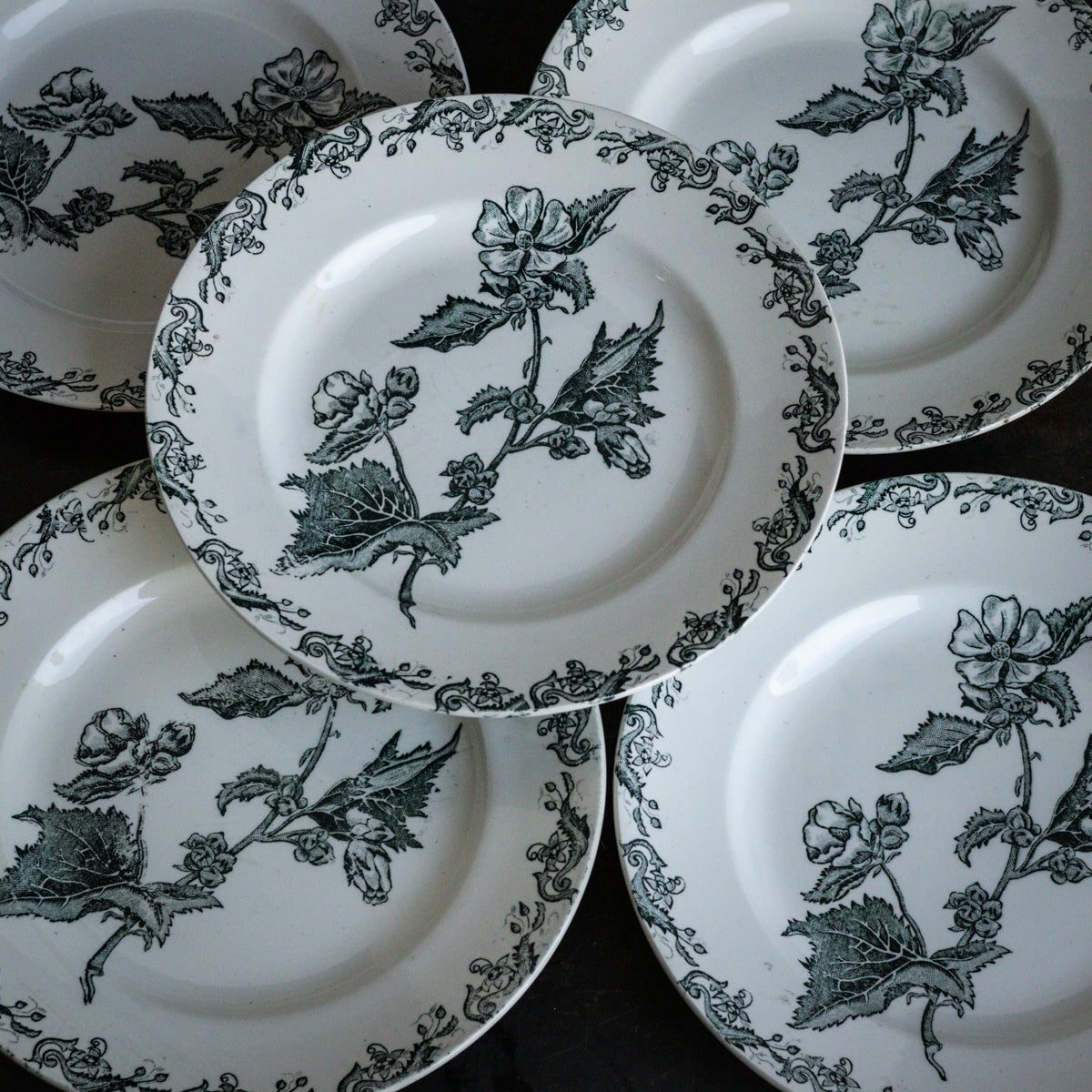 Richelieu Transferware Plate Set of 5 - the french kitchen - elsie green