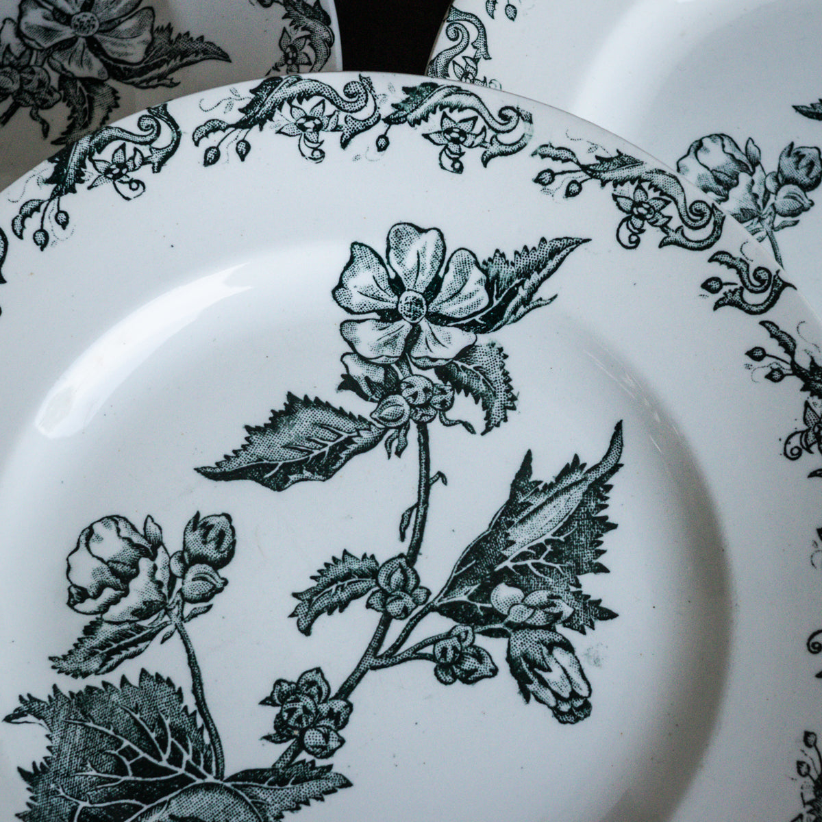 Richelieu Transferware Plate Set of 5 - the french kitchen - elsie green