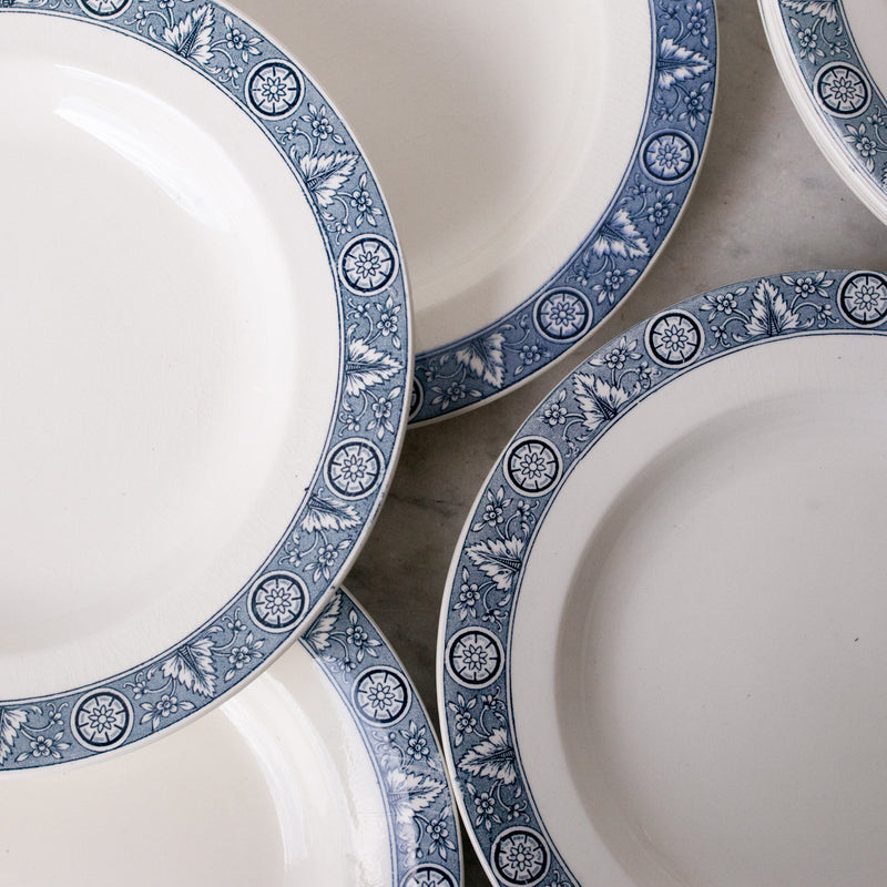 Dinnerware | elsie green